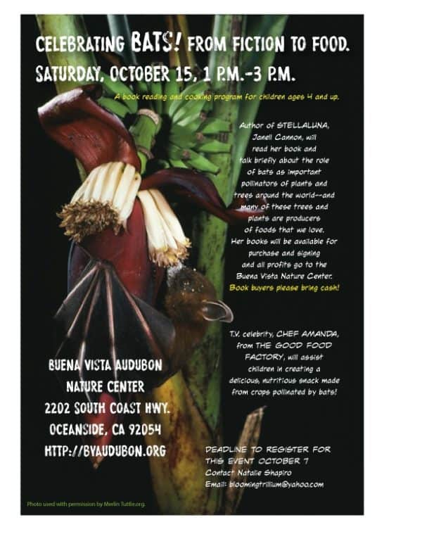 The Power of Bat Photos - Merlin Tuttle's Bat Conservation