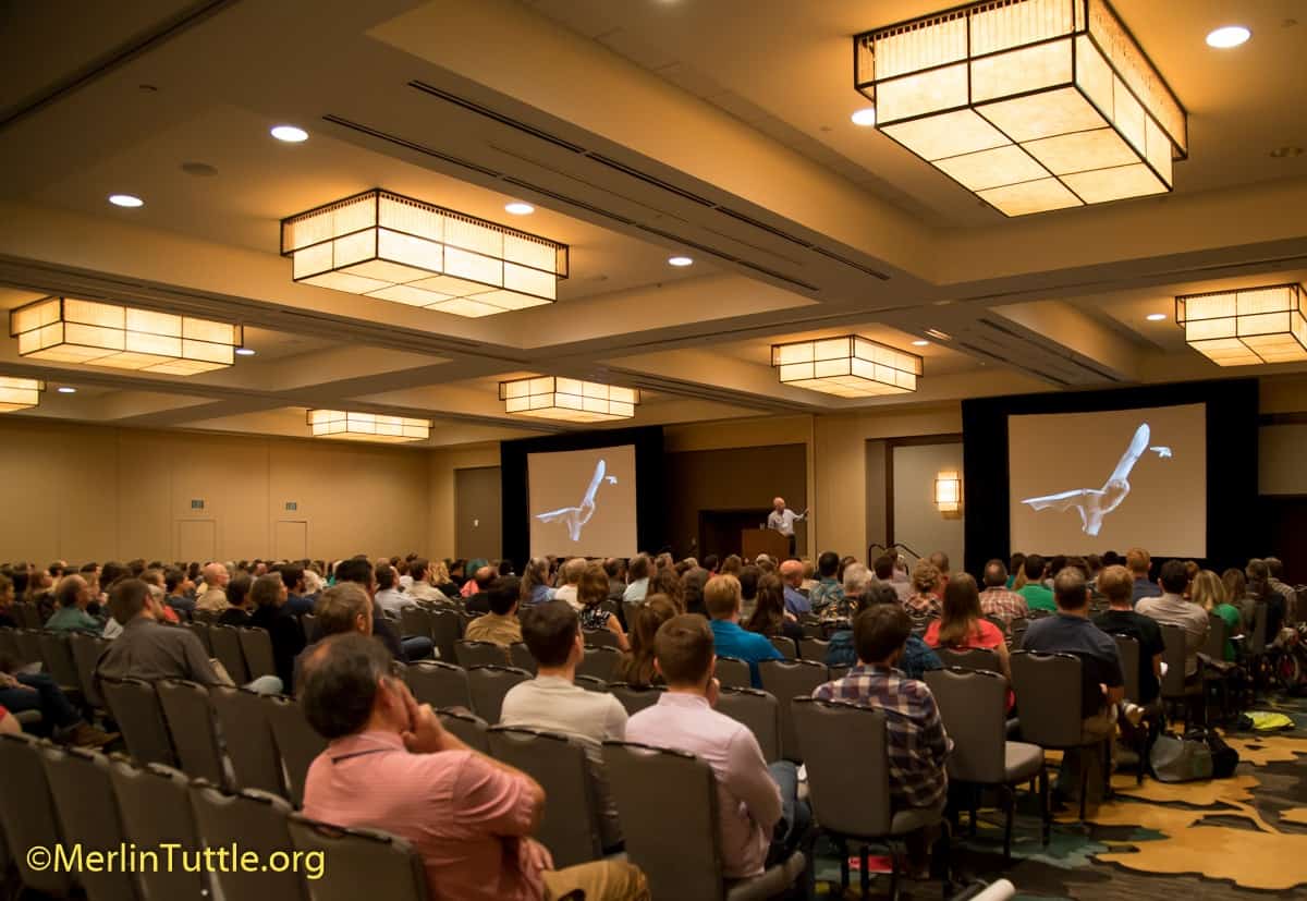 NASBR 2016 Keynote Message from Merlin Tuttle - Merlin Tuttle's Bat ...