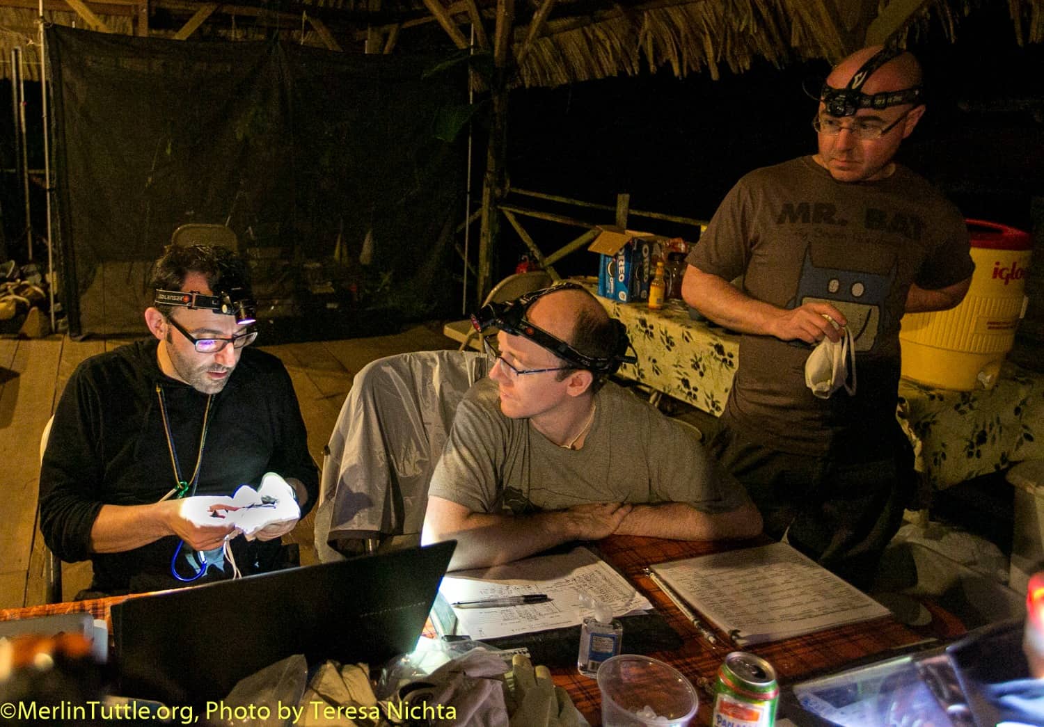 Success in Panama! - Merlin Tuttle's Bat Conservation