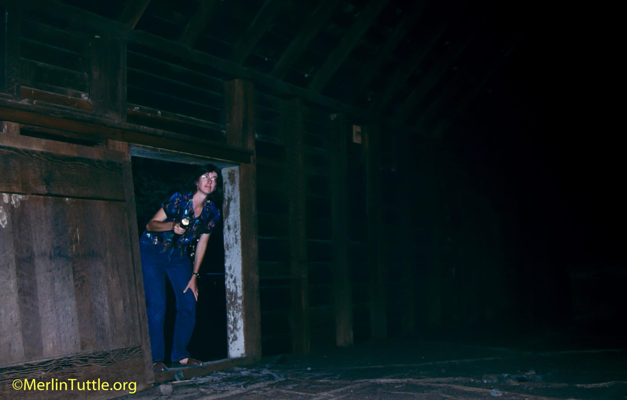 Bat-Friendly Bridges Help Farmers - Merlin Tuttle's Bat Conservation