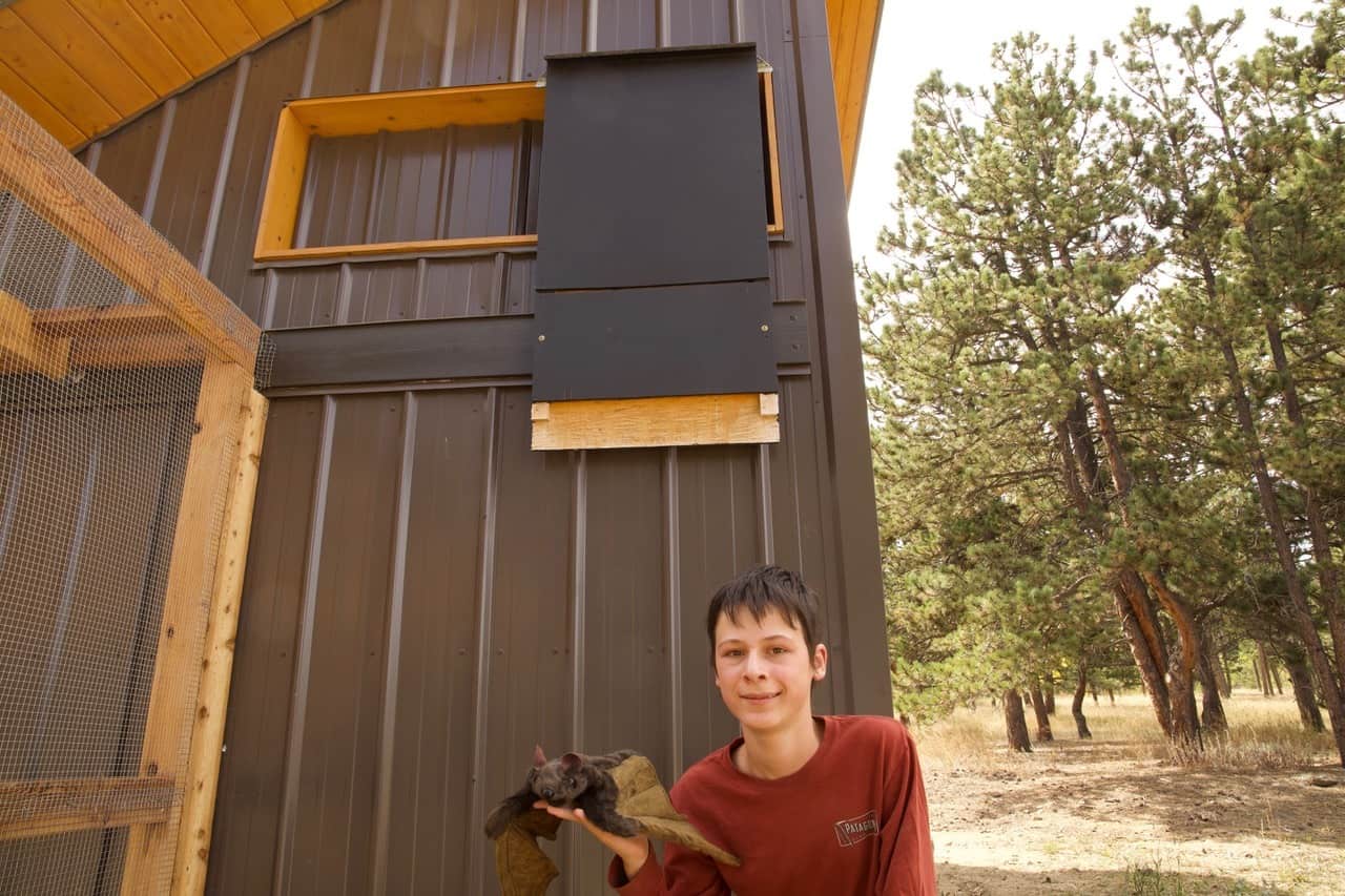 Young Conservationist Makes a Difference - Merlin Tuttle's Bat Conservation