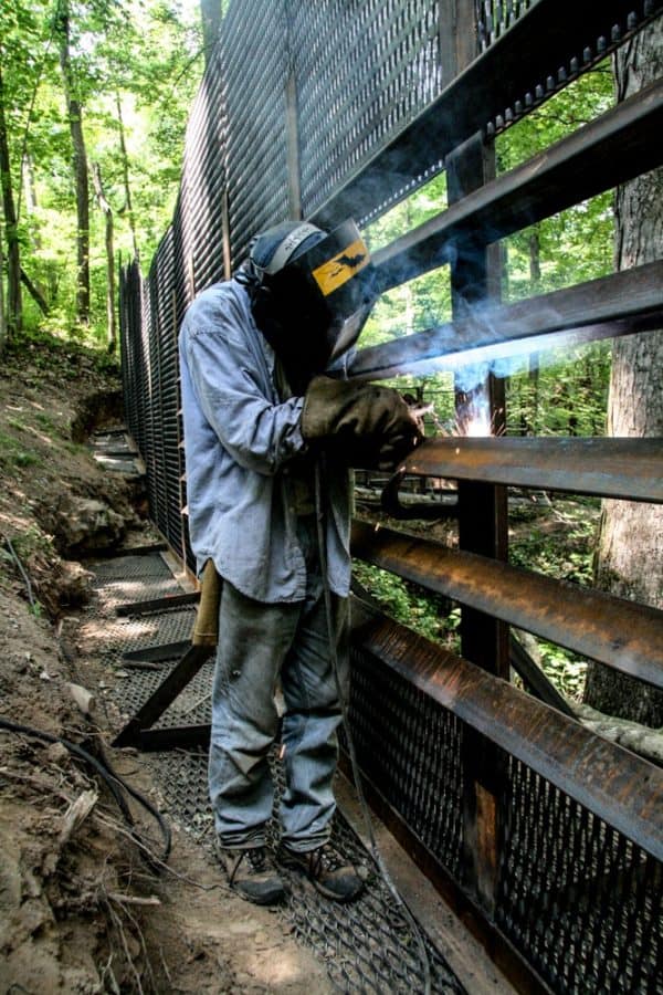 Saving Bats One Cave and Mine at a Time - Merlin Tuttle's Bat Conservation