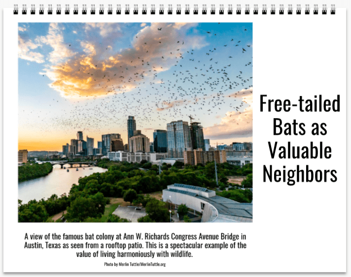 MTBC Merchandise - Merlin Tuttle's Bat Conservation