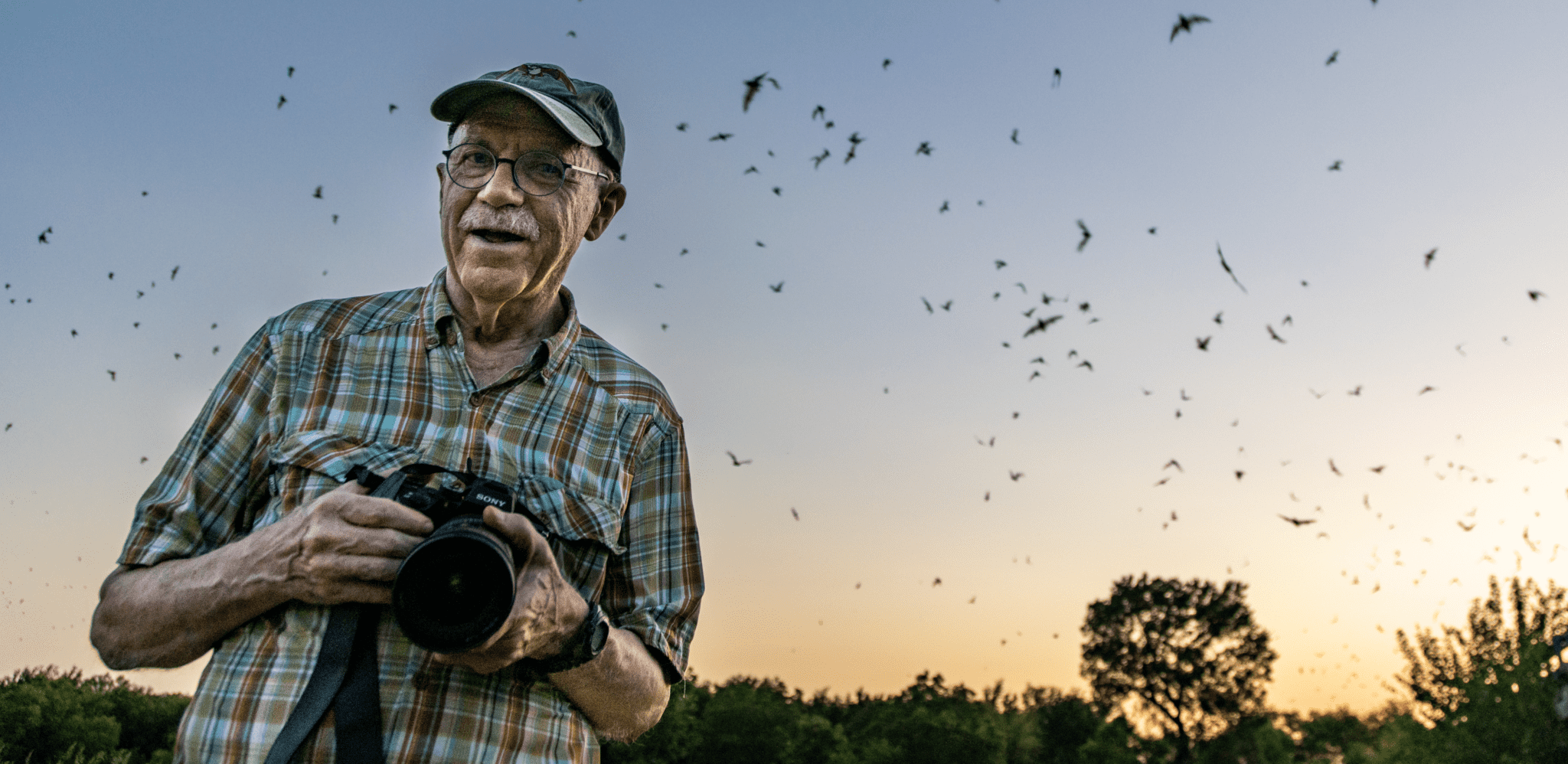Home - Merlin Tuttle's Bat Conservation