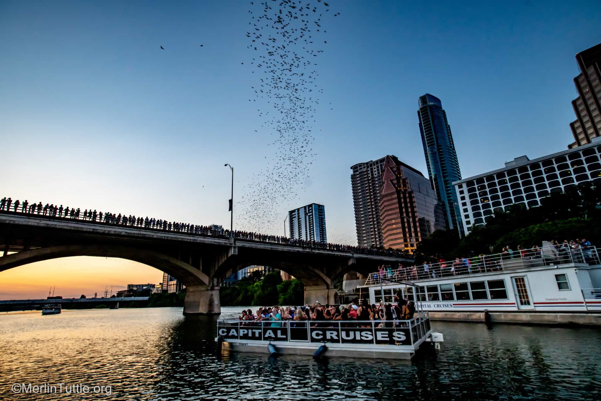 Merlin Tuttle Day - Merlin Tuttle's Bat Conservation
