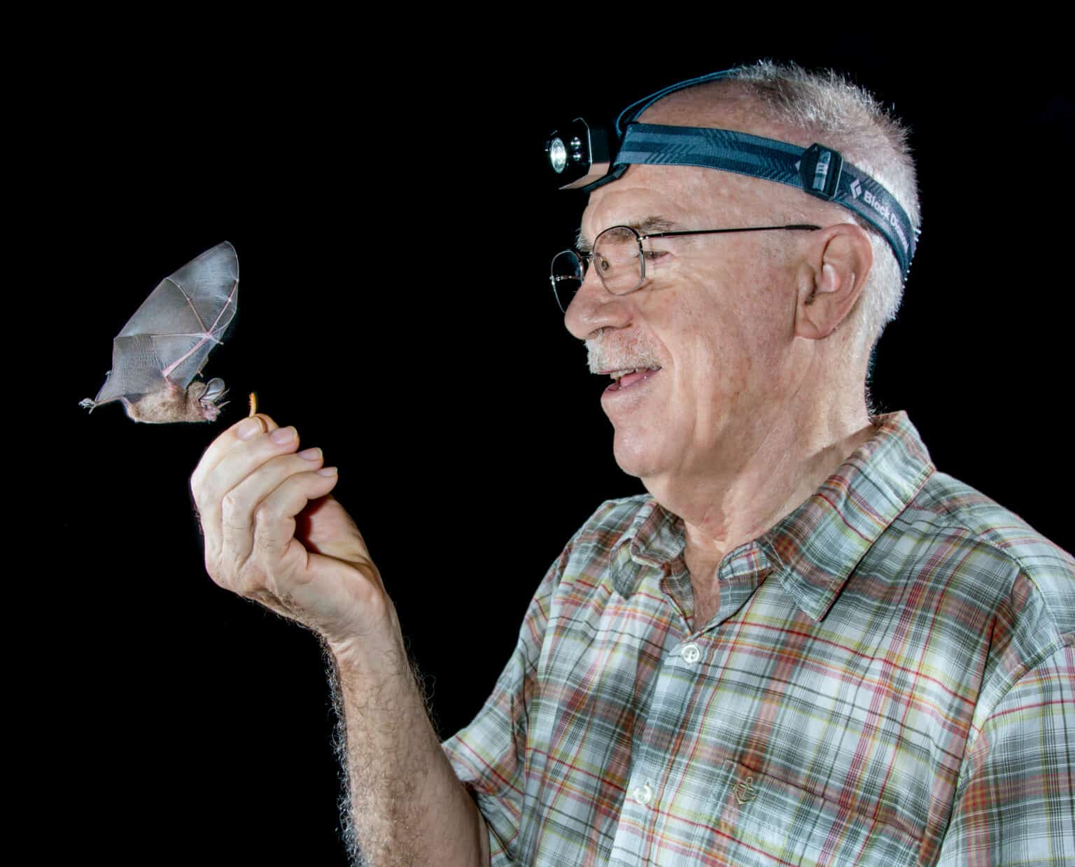 Merlin Tuttle Day - Merlin Tuttle's Bat Conservation