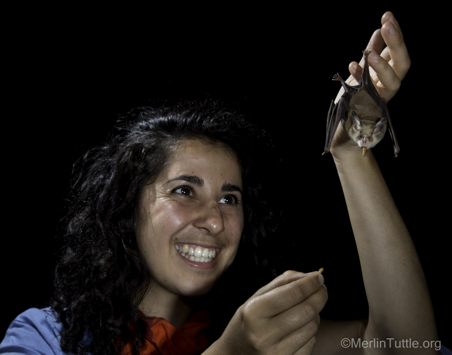 Bat Conservation Research Projects - Merlin Tuttle's Bat Conservation