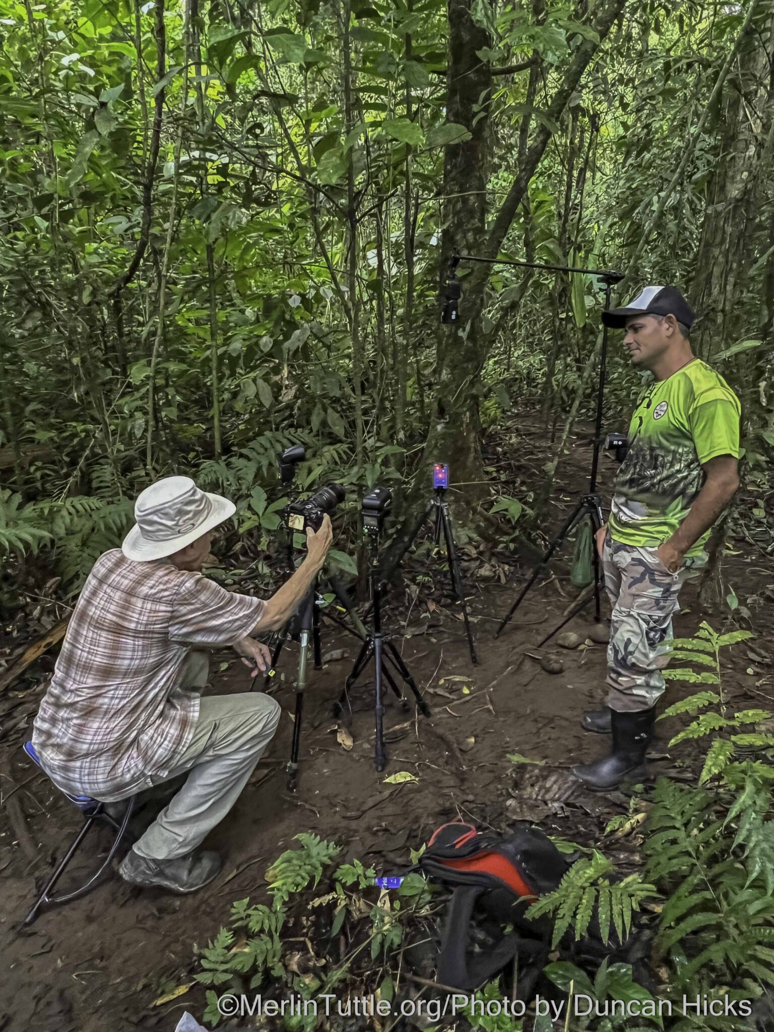 Bat Henry - A Community Scientist Making a Difference - Merlin Tuttle's ...