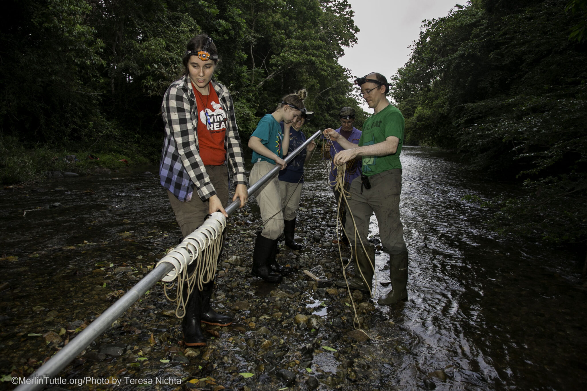 "Livin' the Dream" - Merlin Tuttle's Bat Conservation