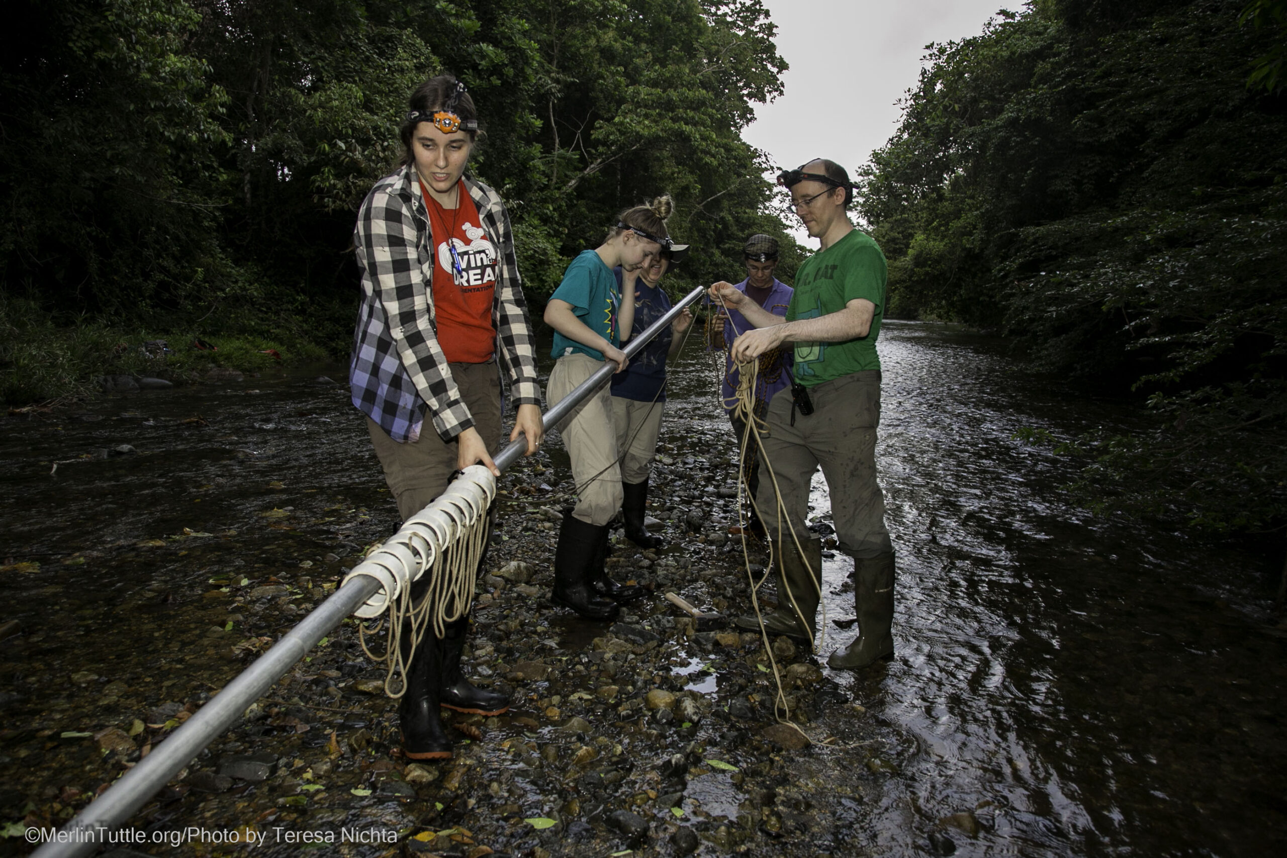 "Livin' the Dream" - Merlin Tuttle's Bat Conservation