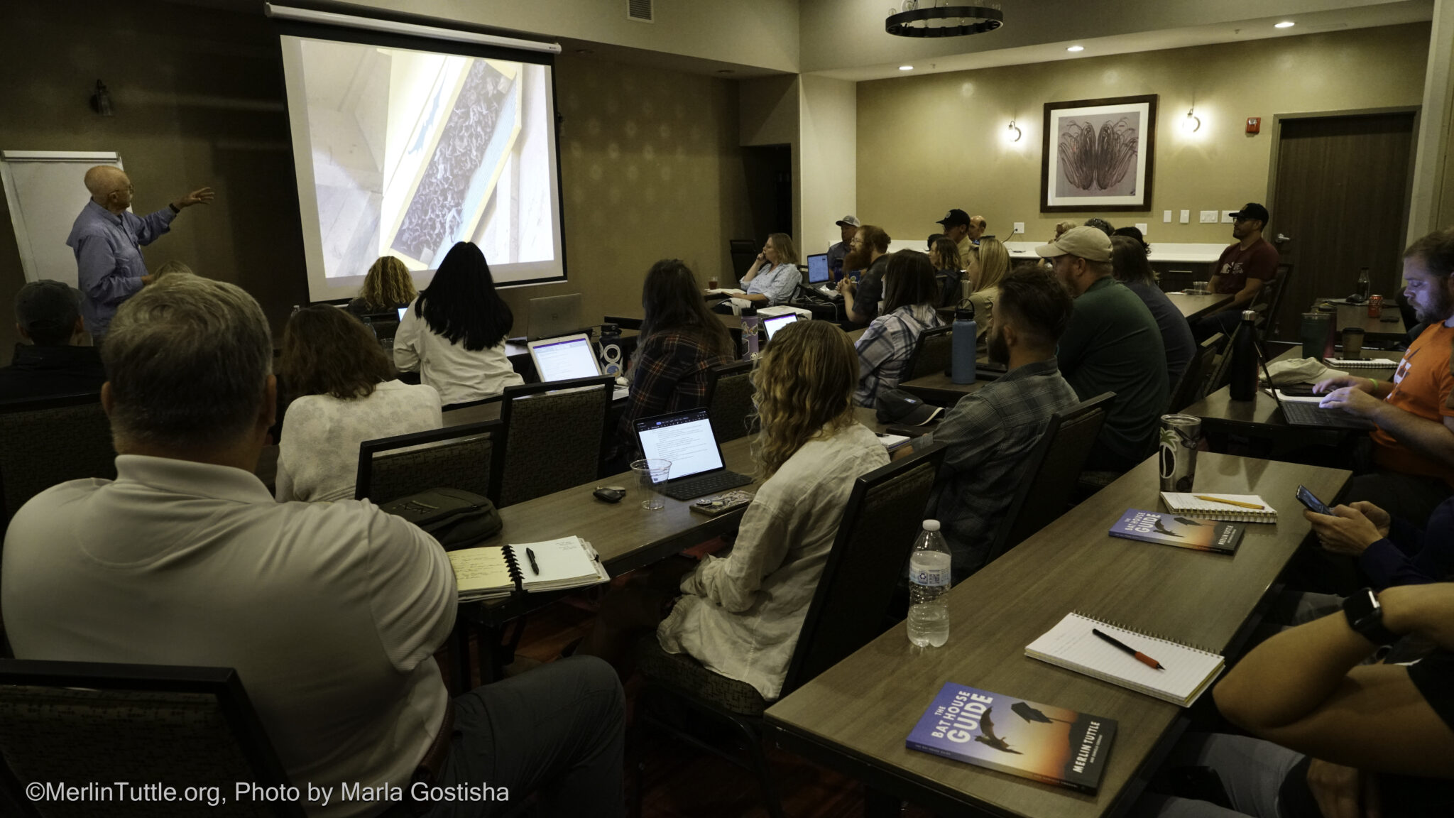 Bat-Friendly Farming: An Aid to Sustainable Agriculture - Merlin Tuttle ...