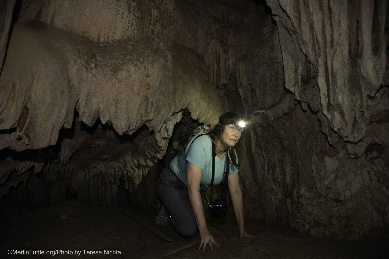 Exploring Thailand, Part 3: In the Company of Cave-Dwellers - Merlin ...