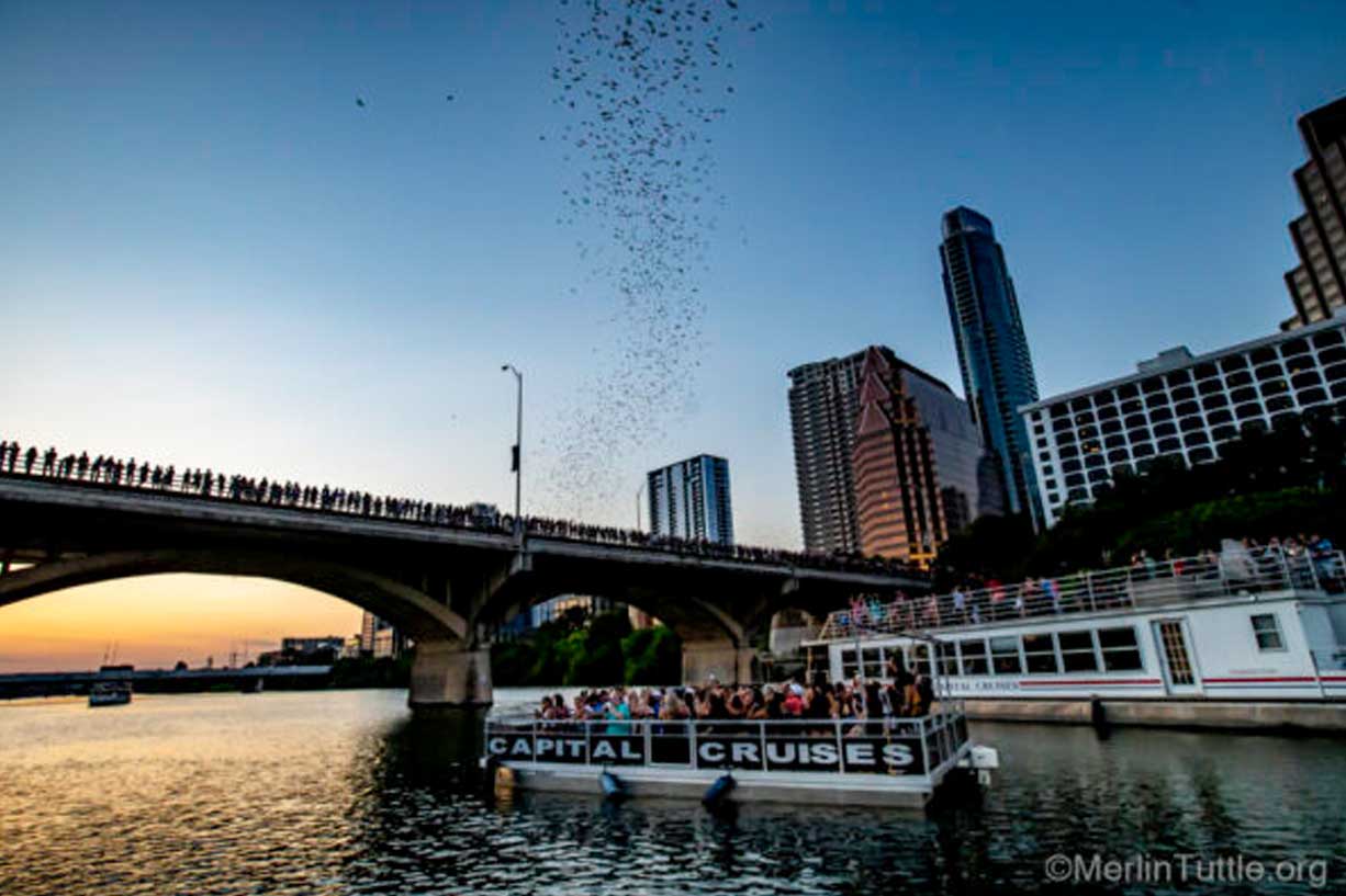 Join Us In Person! - Merlin Tuttle's Bat Conservation