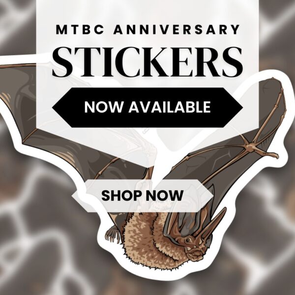 Home - Merlin Tuttle's Bat Conservation