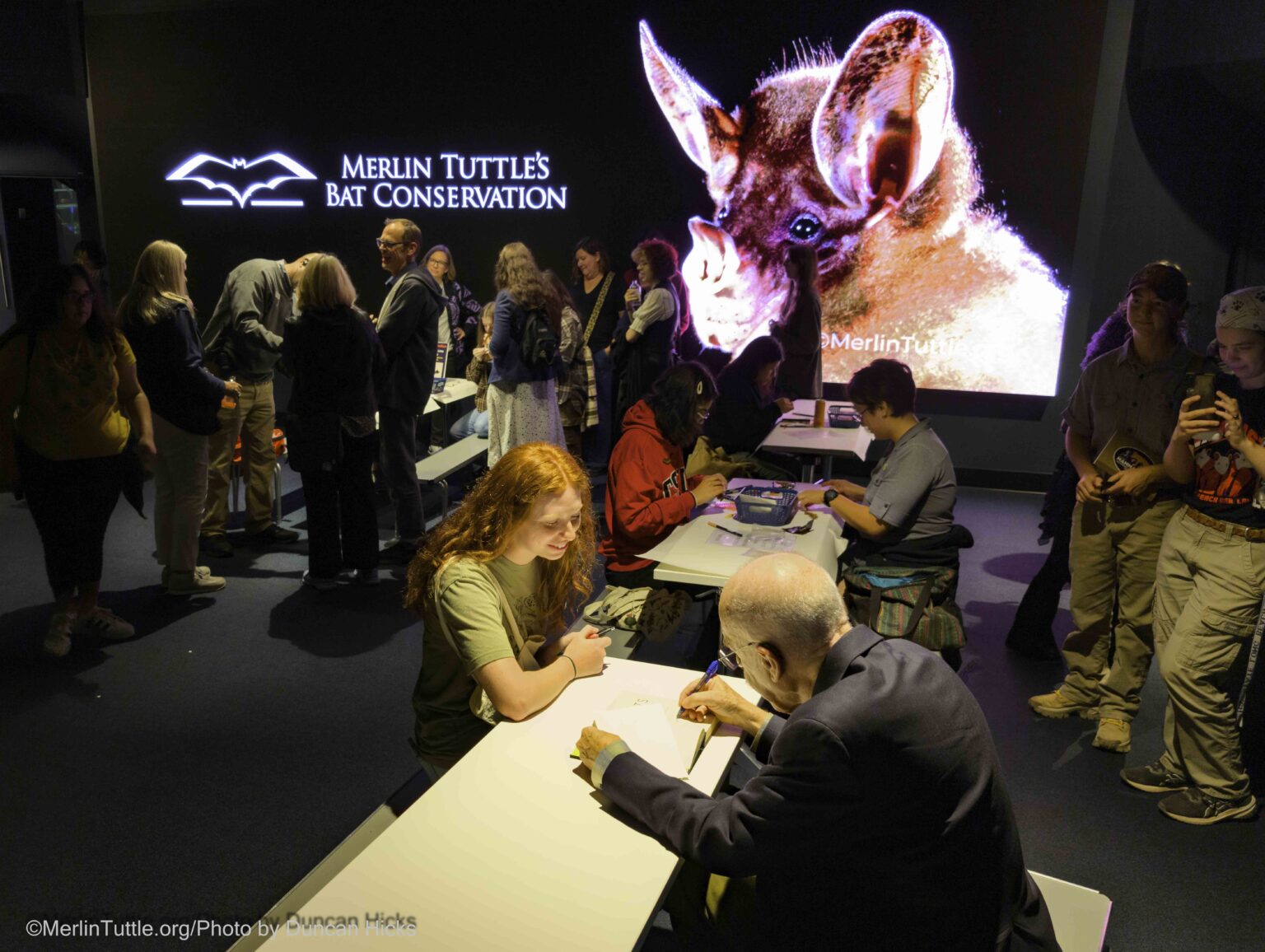 Exploring "The Secret Lives of Bats" at the Aquarium of the Pacific ...