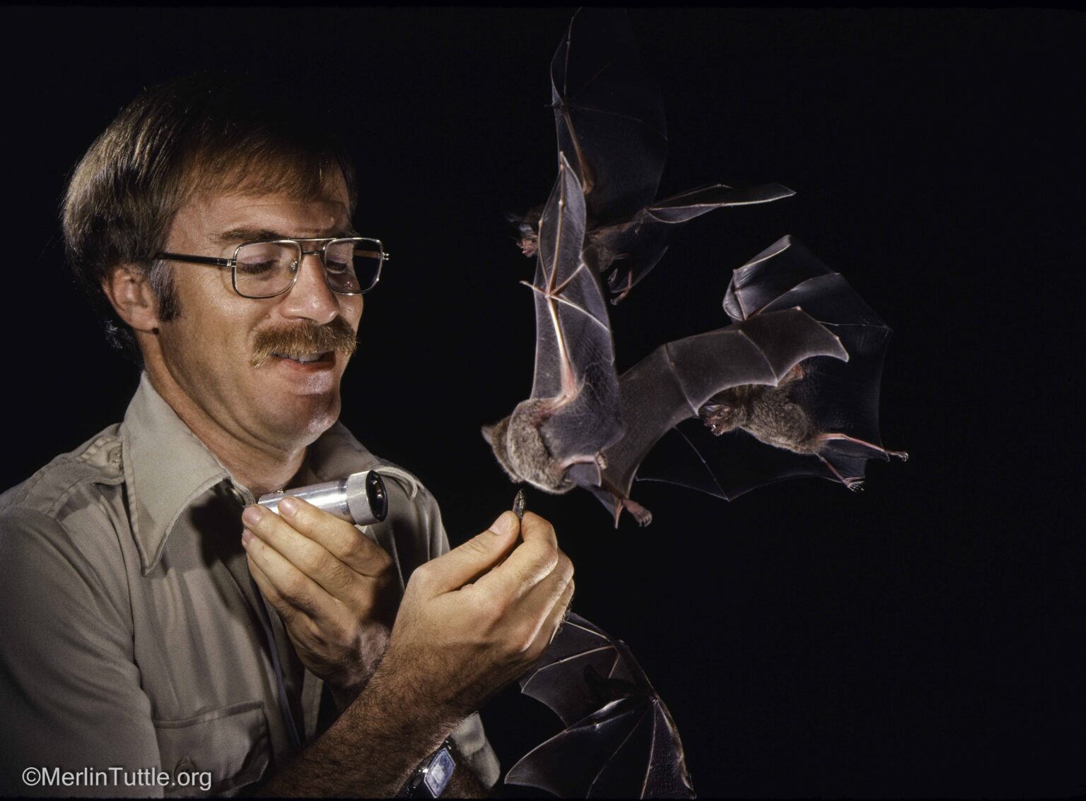 Join Us In Person! - Merlin Tuttle's Bat Conservation